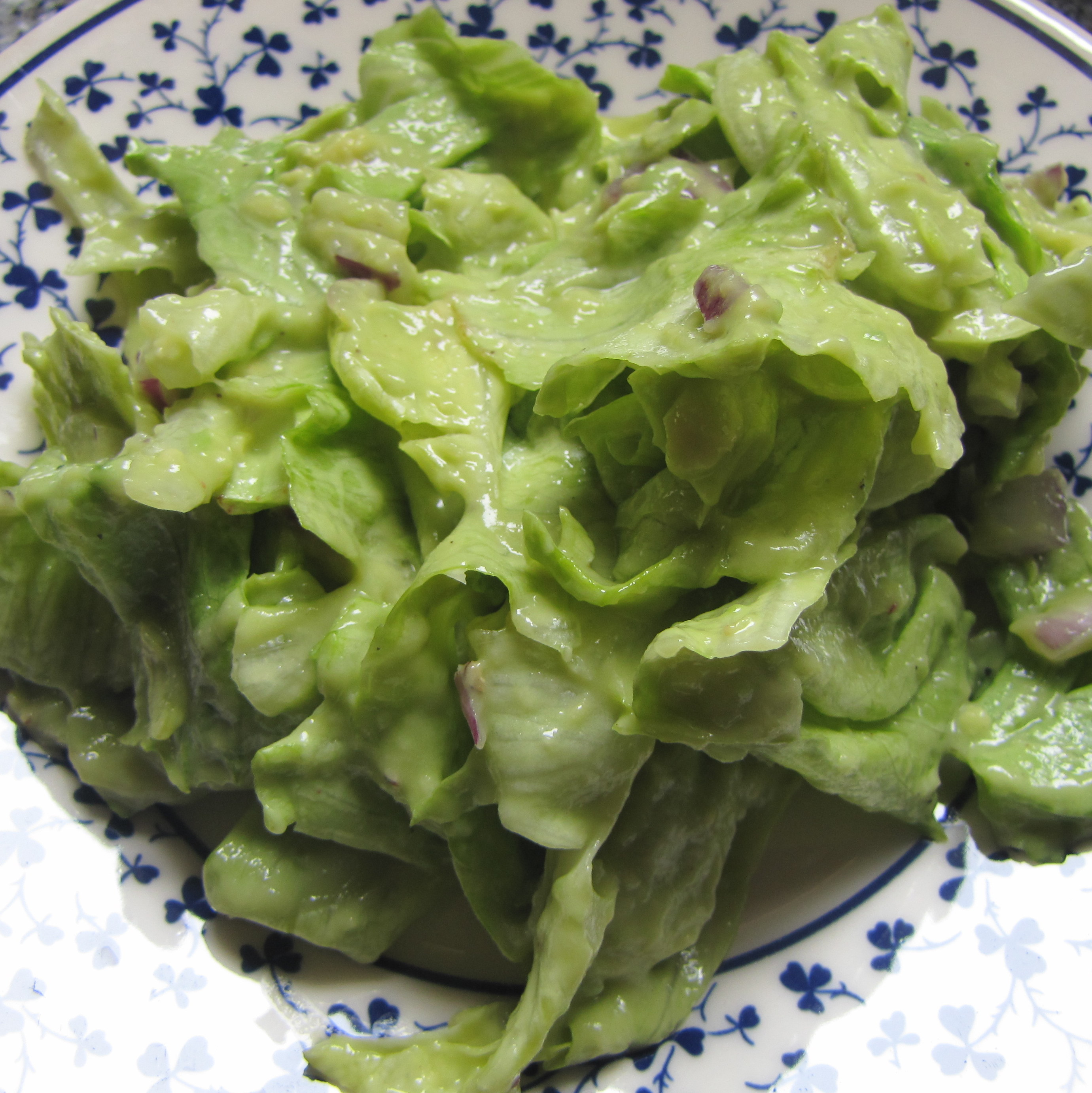 Avocado and Agave Salad | Italian & Vegan